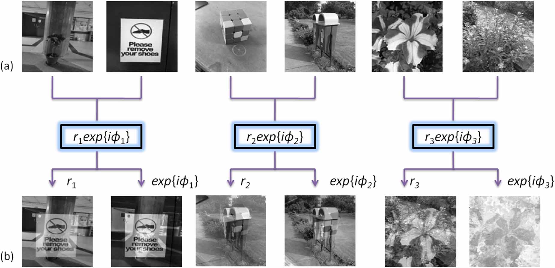 Asymmetric Multi Image Encoding And Hiding Scheme With Structured