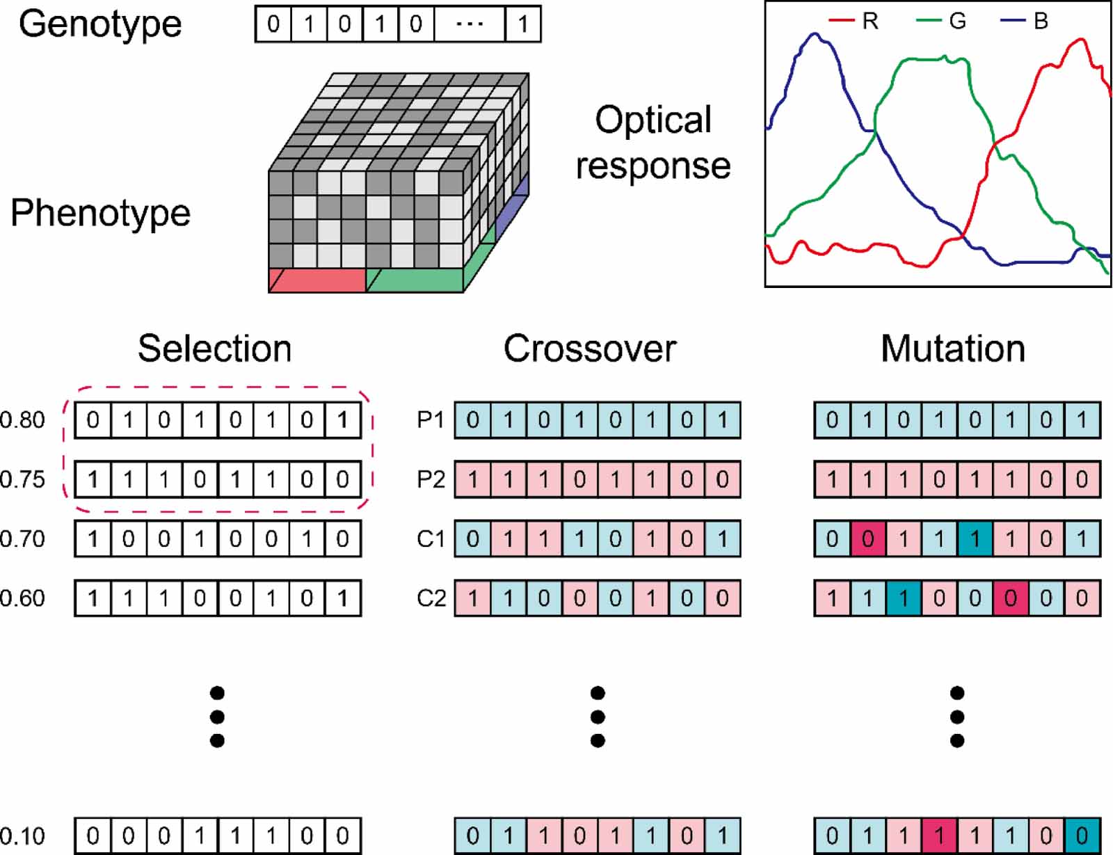 Towards subwavelength pixels: nanophotonic color routers for ultra ...