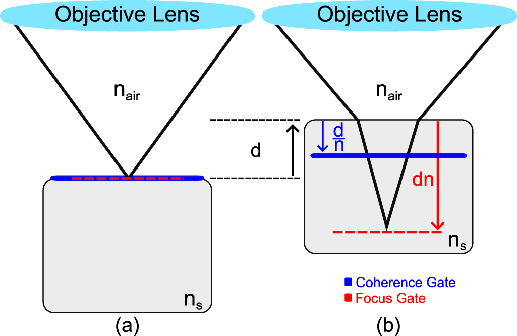 Full-field optical coherence tomography system with a simplified ...