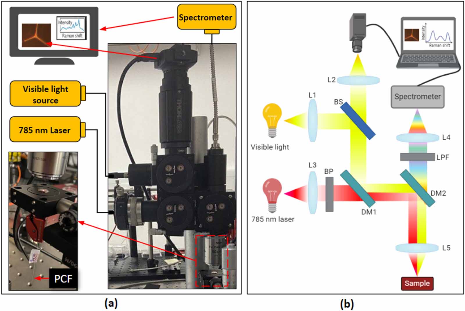Suspended-core photonic crystal fibers for SERS detection of ...
