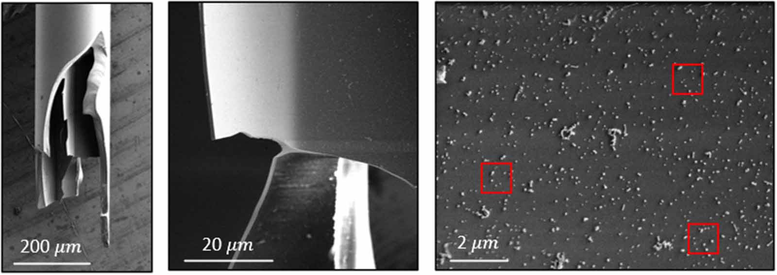 Suspended-core photonic crystal fibers for SERS detection of ...
