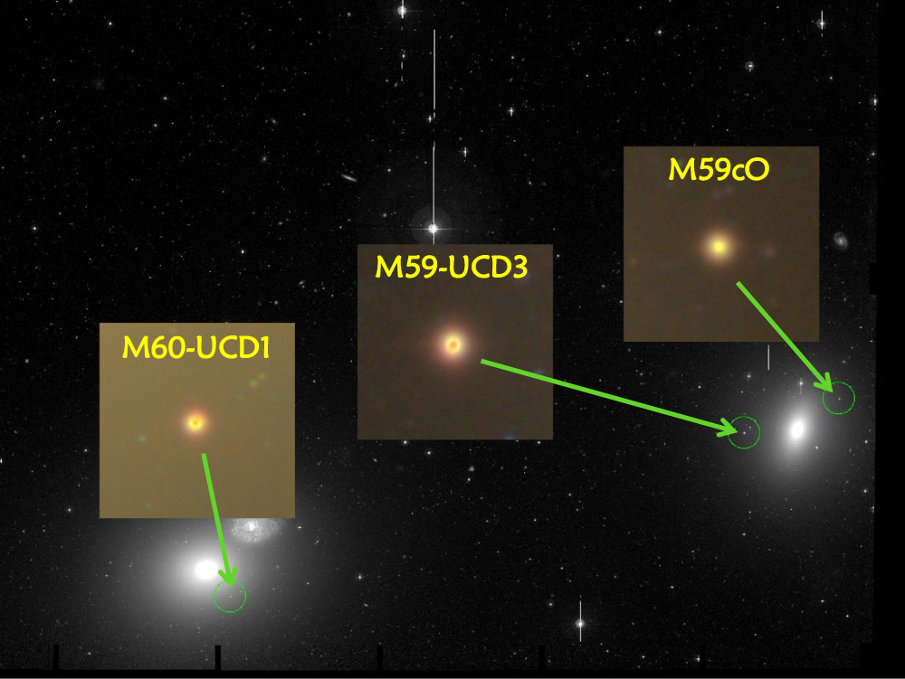 THE MOST MASSIVE ULTRA-COMPACT DWARF GALAXY IN THE VIRGO CLUSTER ...