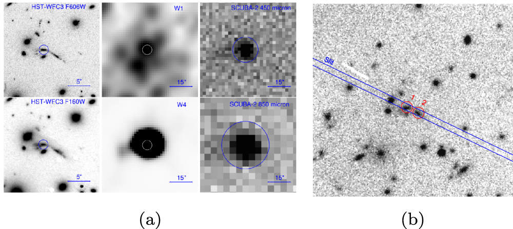 Discovery of a Lensed Ultrabright Submillimeter Galaxy at z = 2.0439 ...