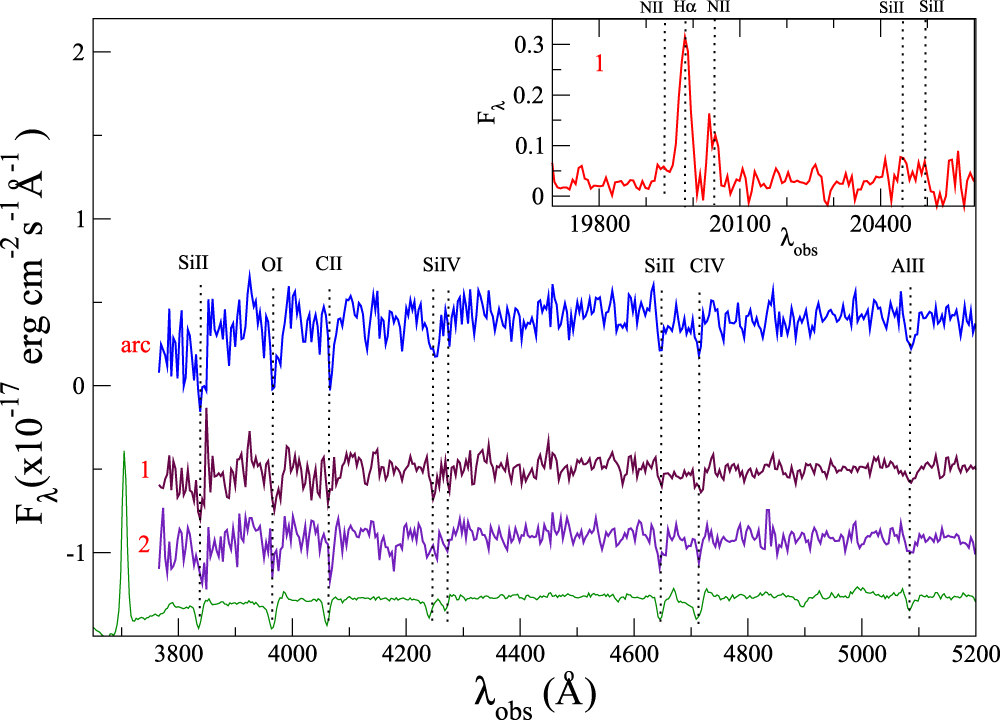 Discovery of a Lensed Ultrabright Submillimeter Galaxy at z = 2.0439 ...