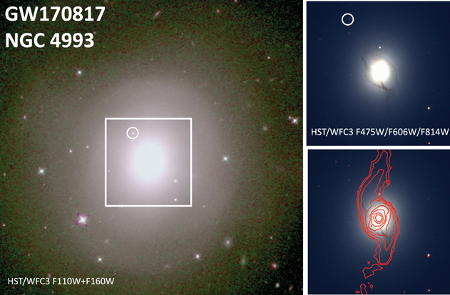 The Environment of the Binary Neutron Star Merger GW170817 - IOPscience