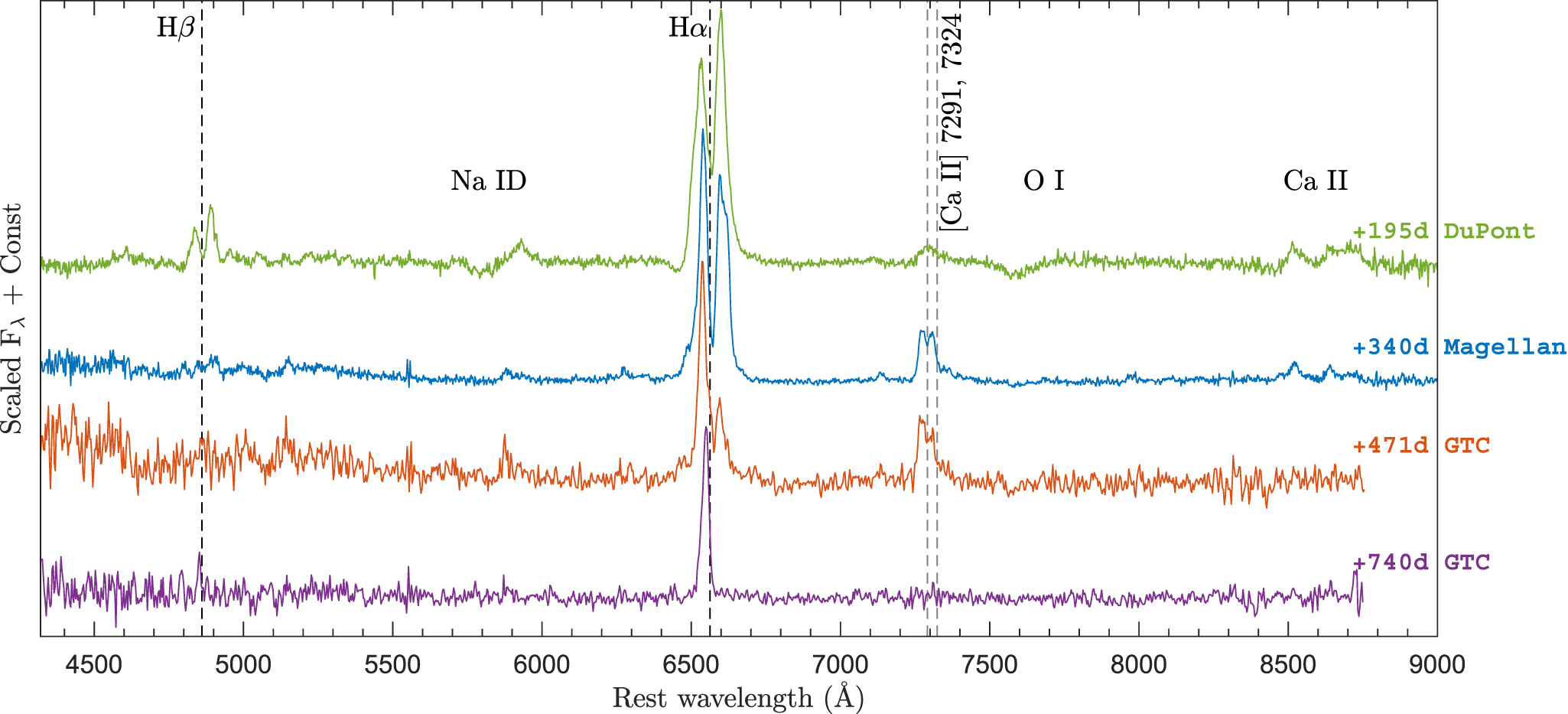 Strongly Bipolar Inner Ejecta of the Normal Type IIP Supernova ASASSN ...