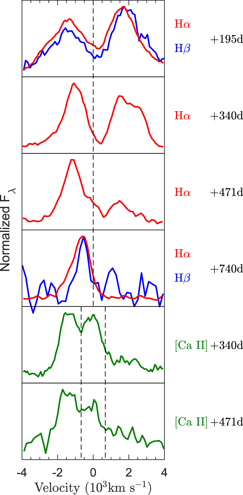 Strongly Bipolar Inner Ejecta of the Normal Type IIP Supernova ASASSN ...
