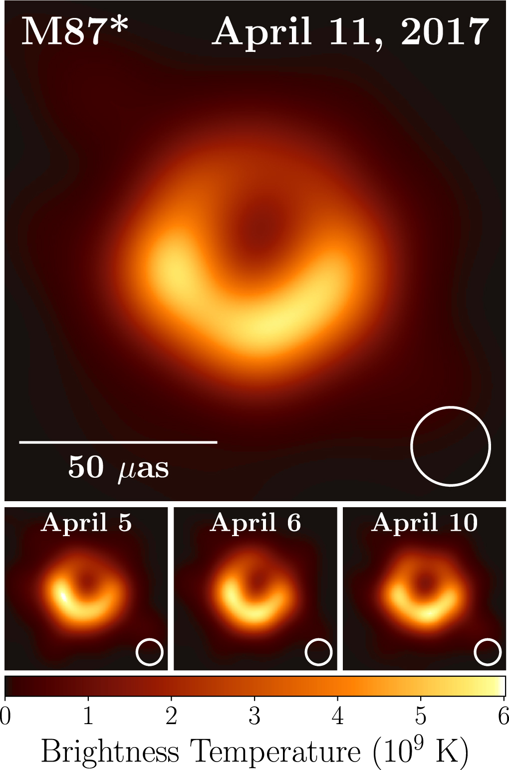 First M87 Event Horizon Telescope Results. I. The Shadow of the ...