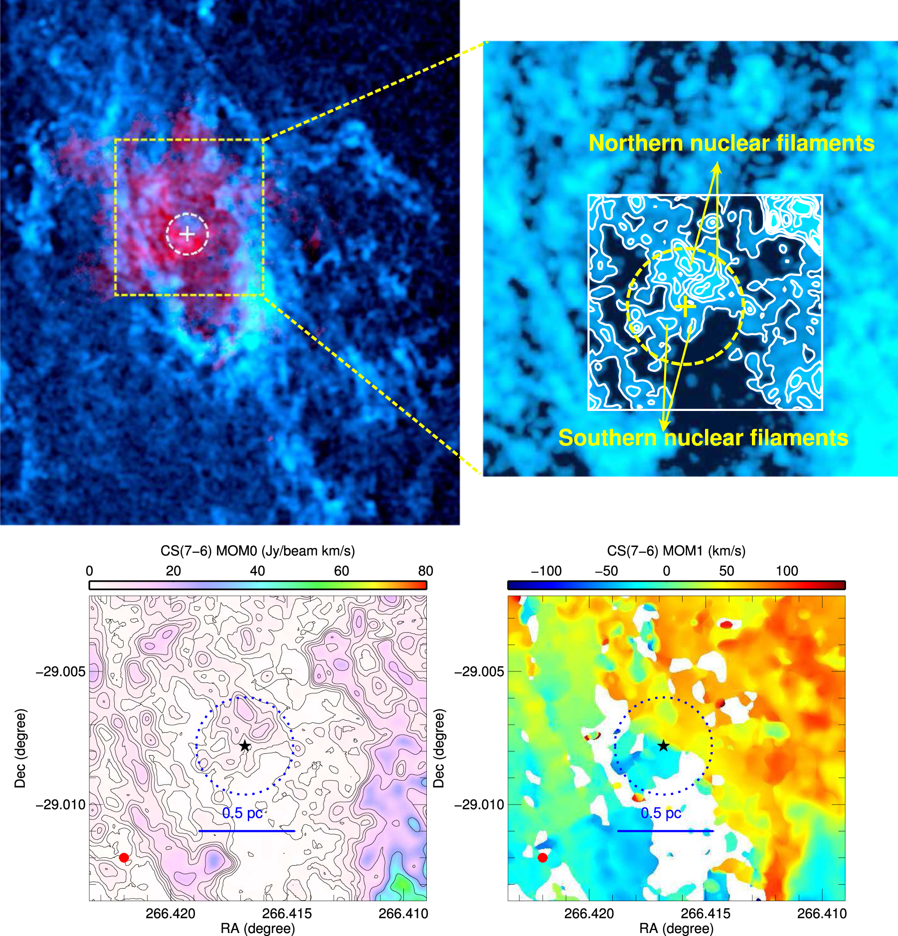 The Nuclear Filaments inside the Circumnuclear Disk in the Central 0.5 ...