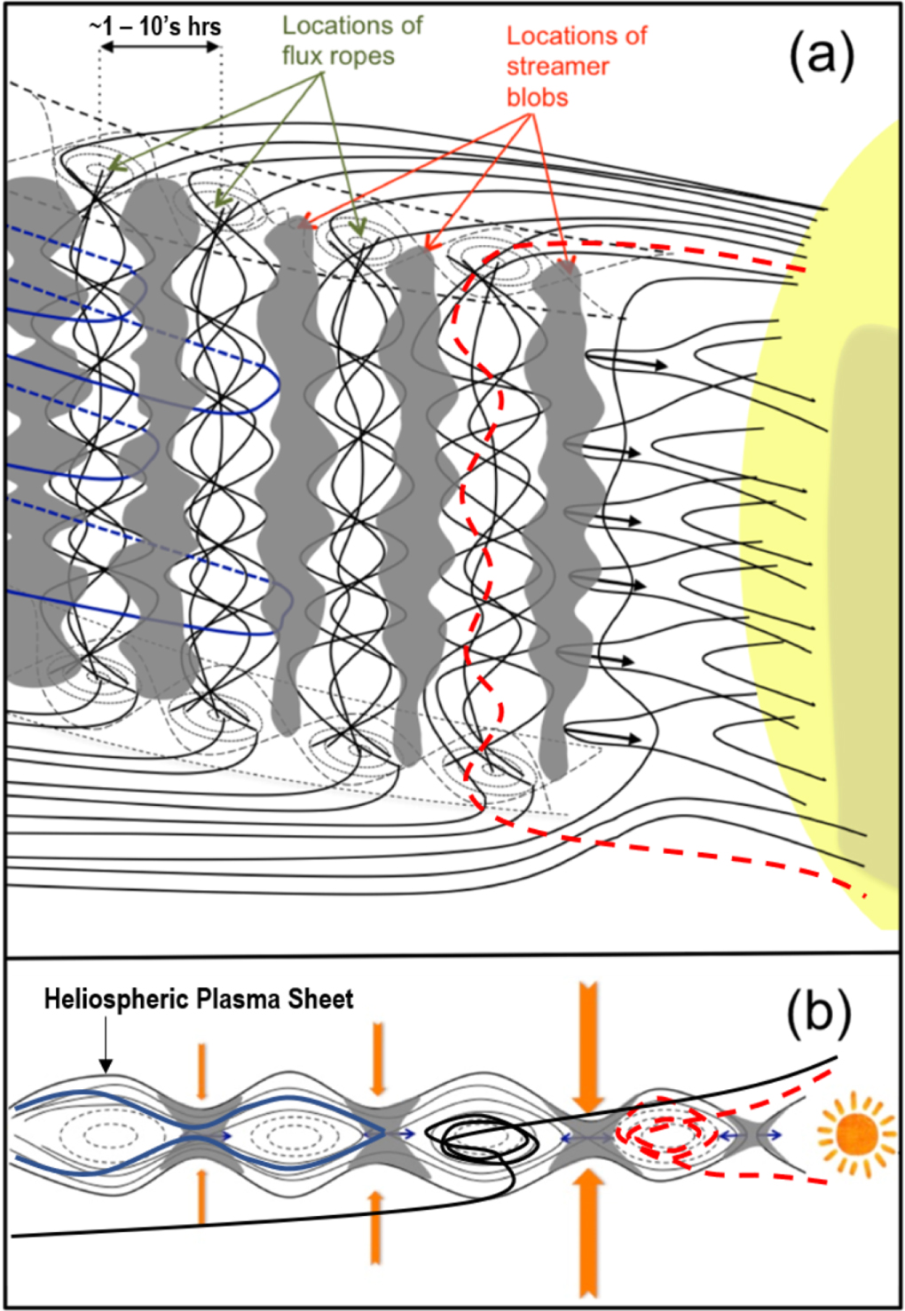 The Heliospheric Current Sheet and Plasma Sheet during Parker Solar ...