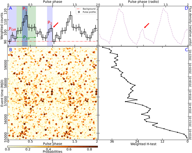 Discovery of γ-Ray Pulsations from PSR J1835–3259B in the Globular ...
