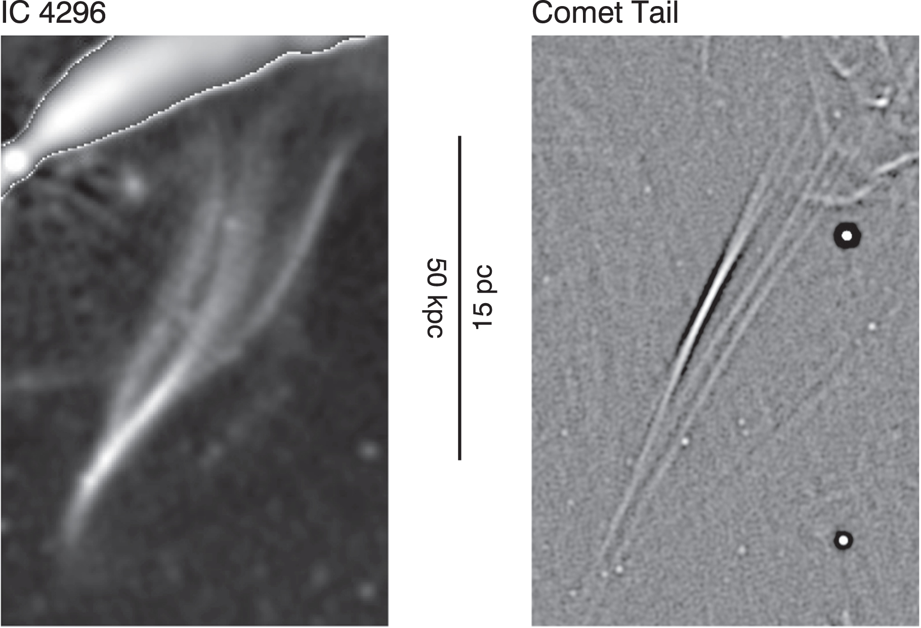 Populations of Magnetized Filaments in the Intracluster Medium and the ...