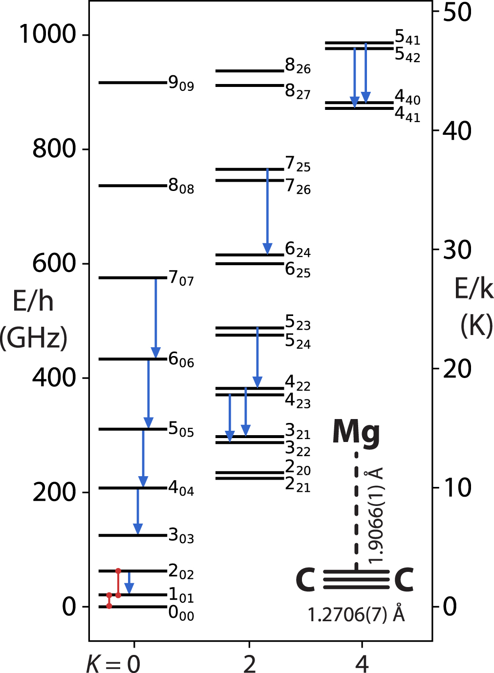 Laboratory and Astronomical Discovery of Magnesium Dicarbide, MgC2 ...