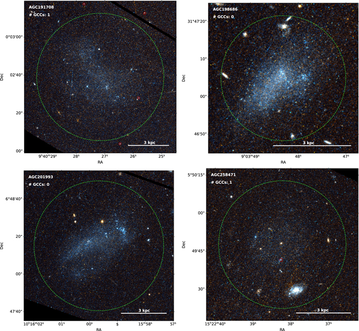 Gas-rich, Field Ultra-diffuse Galaxies Host Few Gobular Clusters ...