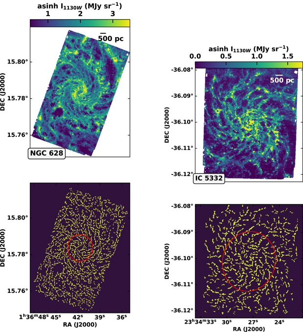 PHANGS–JWST First Results: Interstellar Medium Structure on the ...