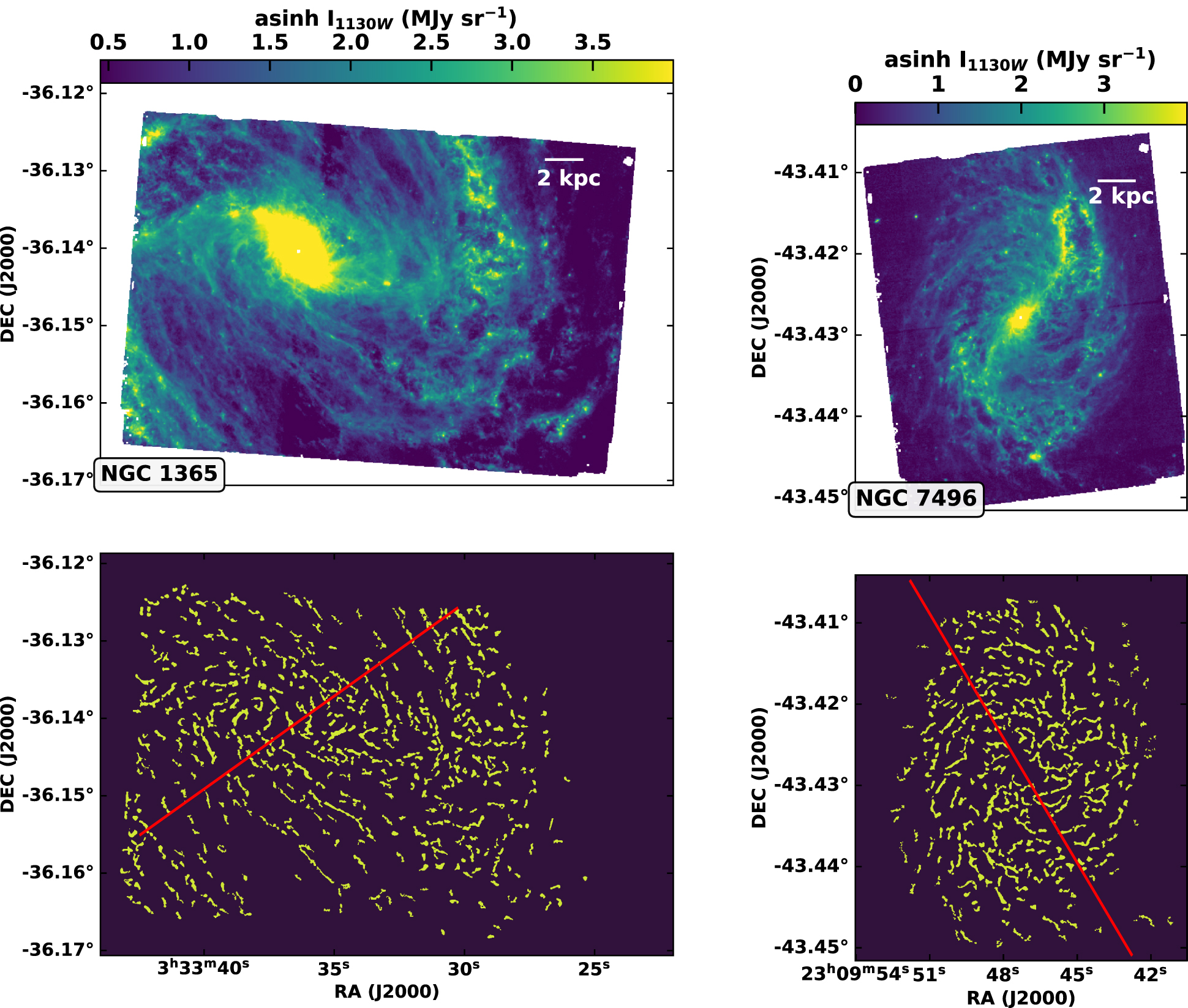 PHANGS–JWST First Results: Interstellar Medium Structure on the ...