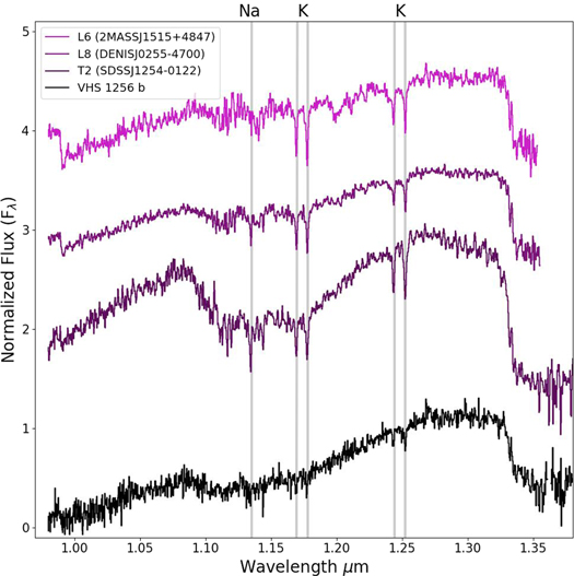 The JWST Early-release Science Program for Direct Observations of ...