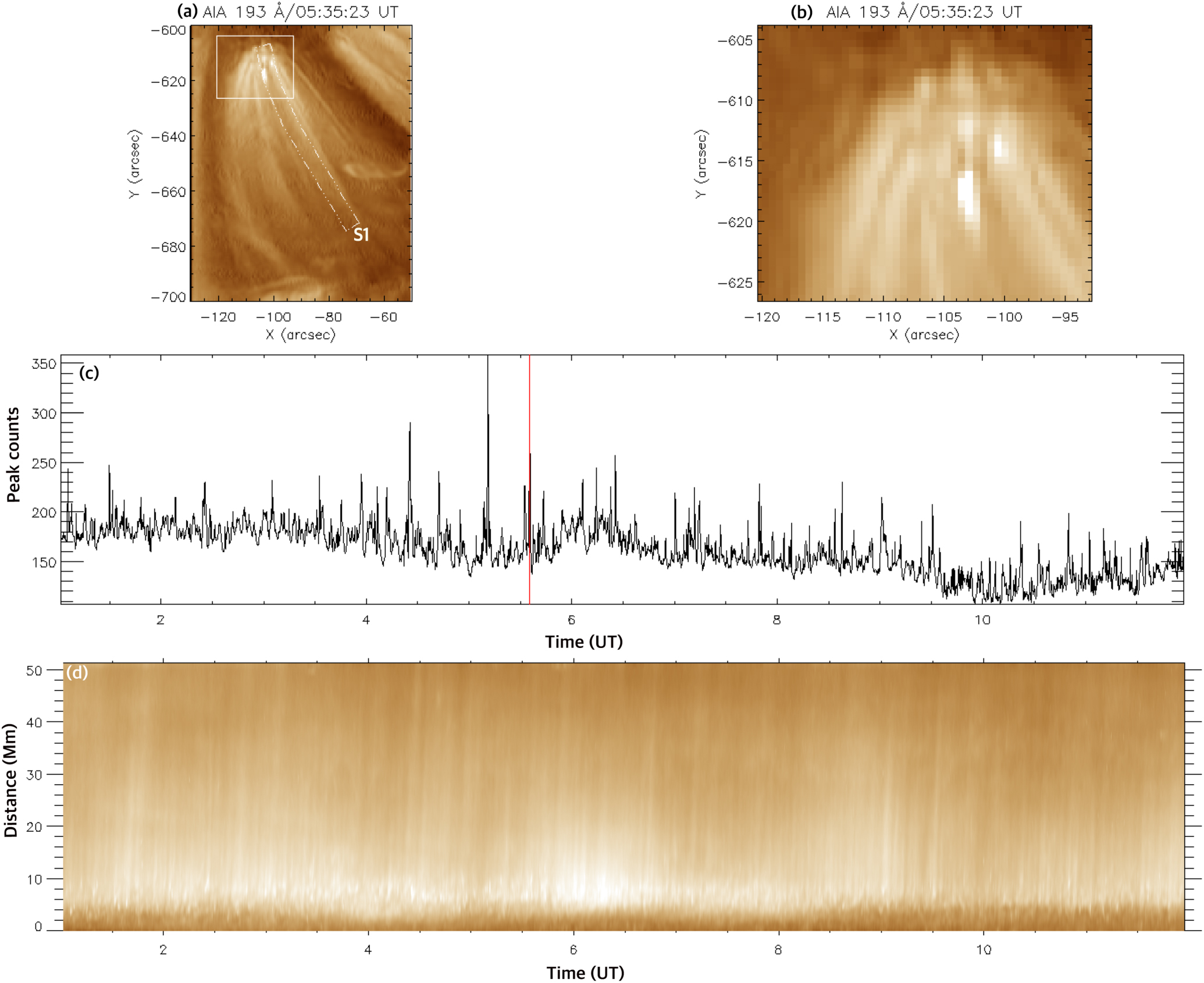 New Evidence on the Origin of Solar Wind Microstreams/Switchbacks ...