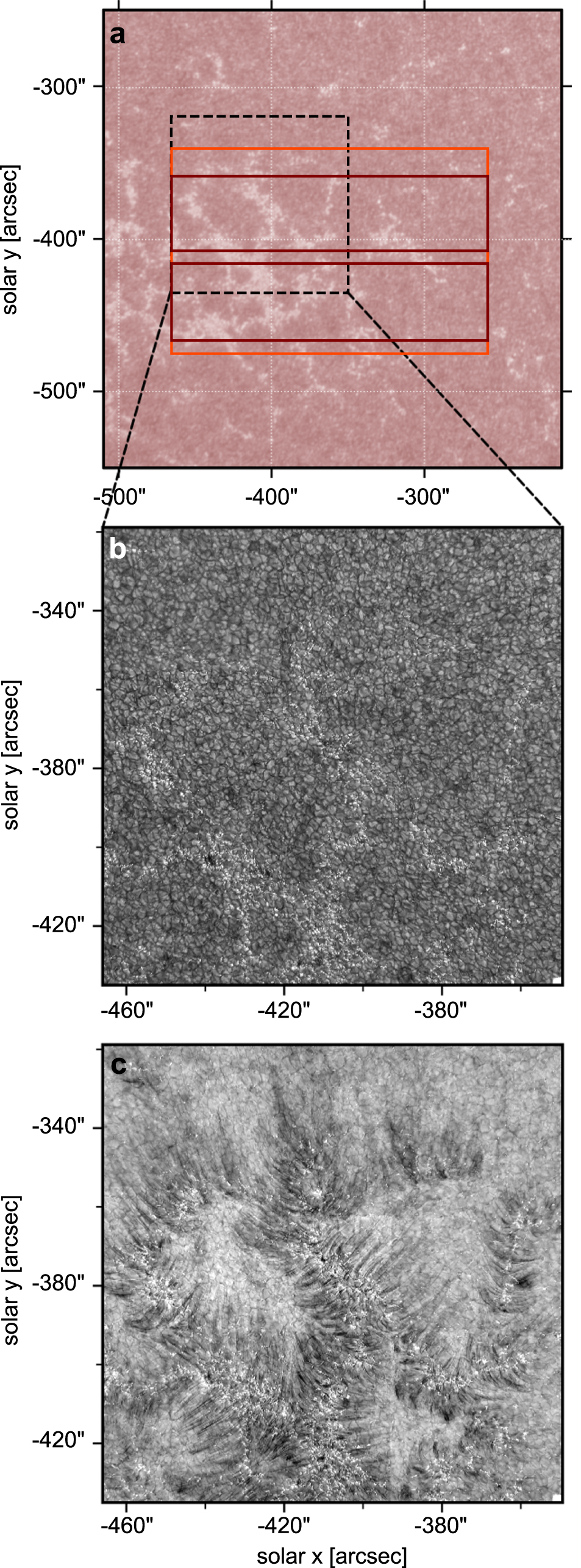 Magnetic Fields in Solar Plage Regions: Insights from High-sensitivity ...
