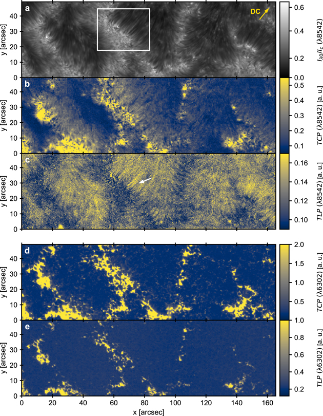 Magnetic Fields in Solar Plage Regions: Insights from High-sensitivity ...