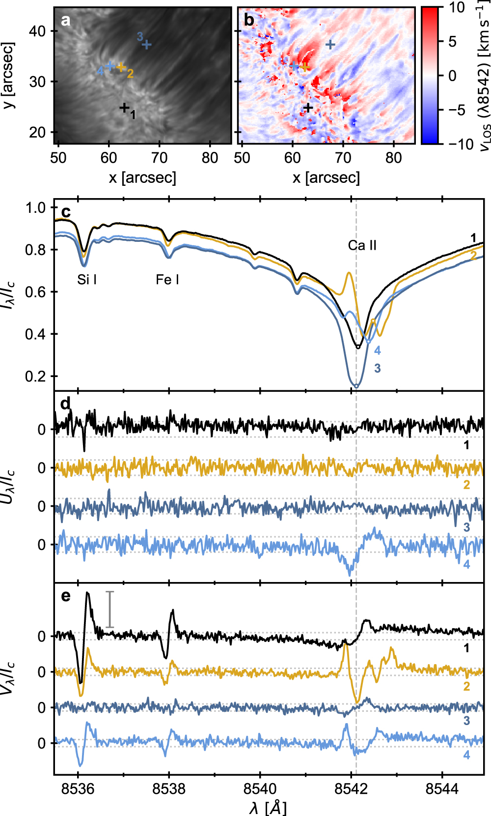 Magnetic Fields in Solar Plage Regions: Insights from High-sensitivity ...