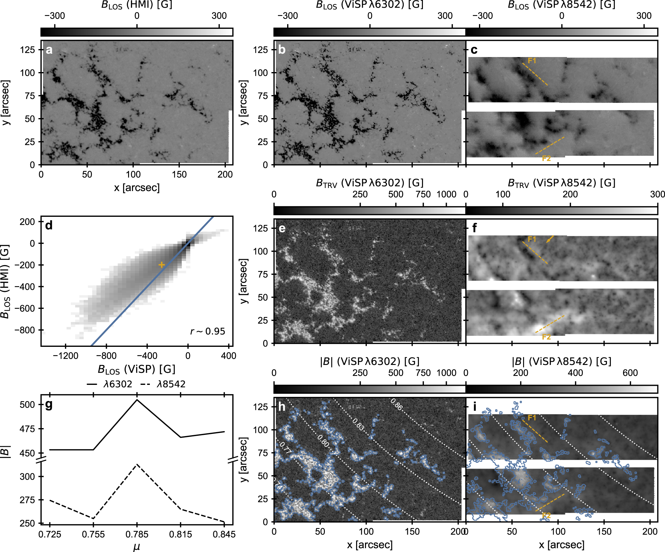 Magnetic Fields in Solar Plage Regions: Insights from High-sensitivity ...