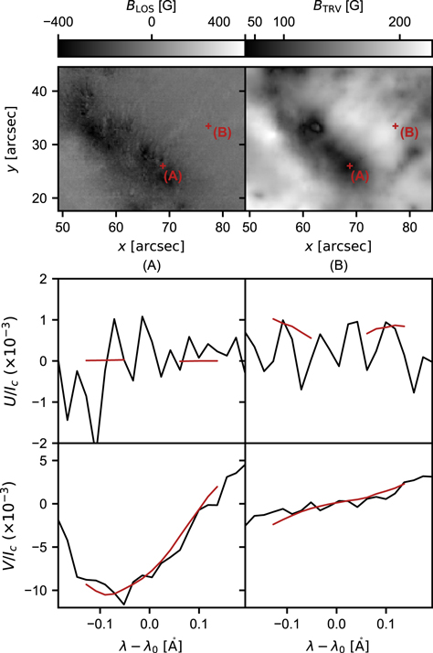 Magnetic Fields in Solar Plage Regions: Insights from High-sensitivity ...