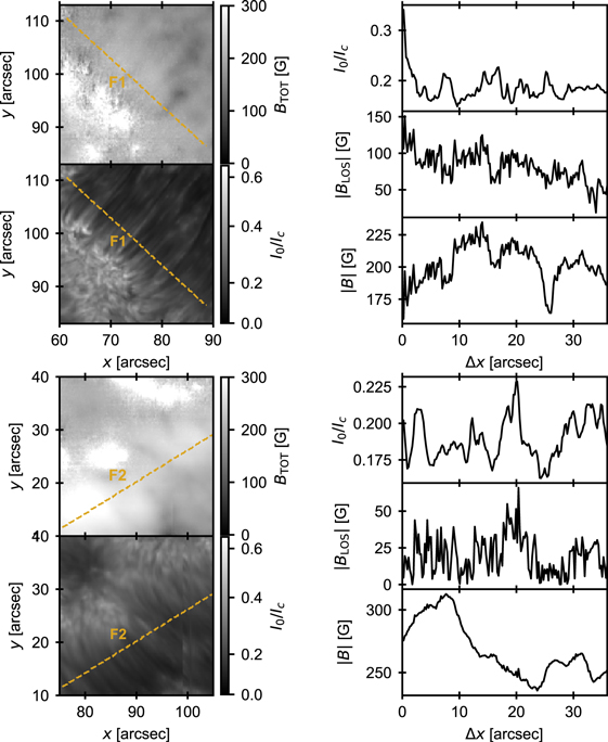 Magnetic Fields in Solar Plage Regions: Insights from High-sensitivity ...