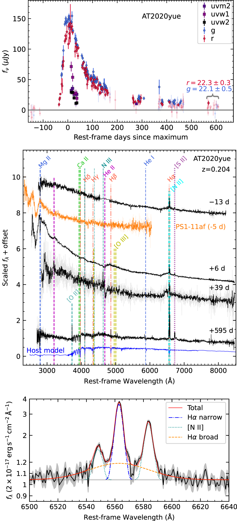 Tidal Disruption Event Demographics with the Zwicky Transient Facility ...