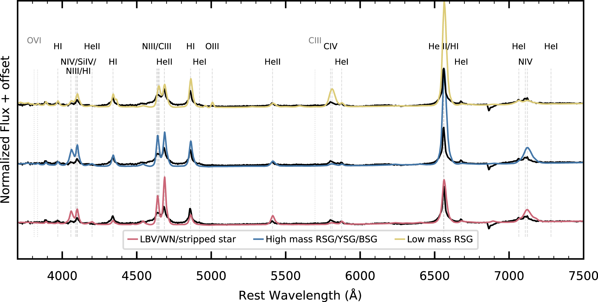 Early Spectroscopy and Dense Circumstellar Medium Interaction in SN ...