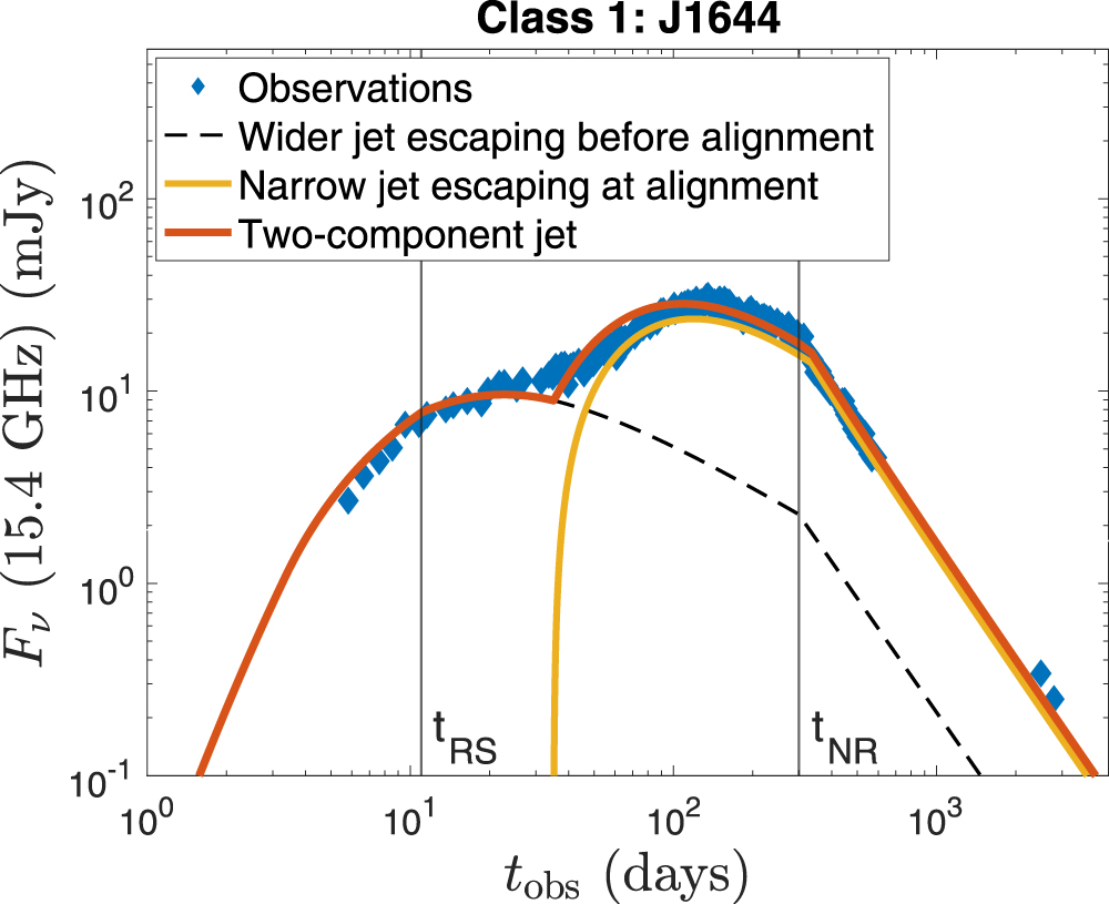 A Unified Theory of Jetted Tidal Disruption Events: From Promptly ...