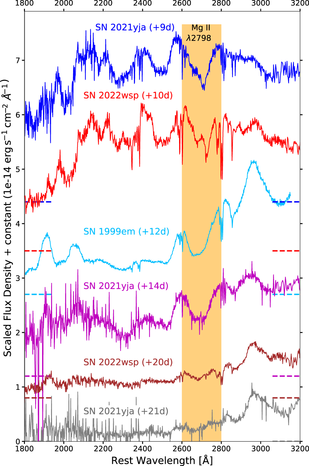 Early-time Ultraviolet and Optical Hubble Space Telescope Spectroscopy ...