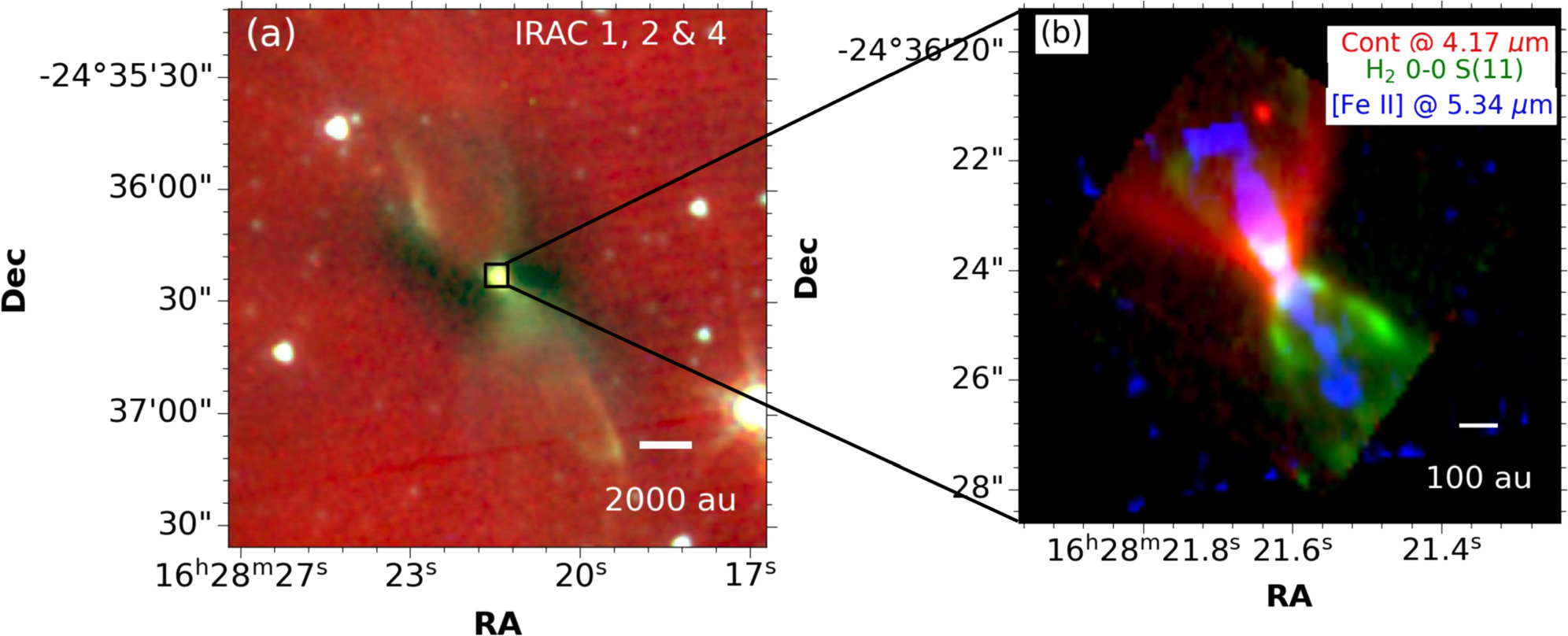 Discovery of a Collimated Jet from the Low-luminosity Protostar IRAS ...