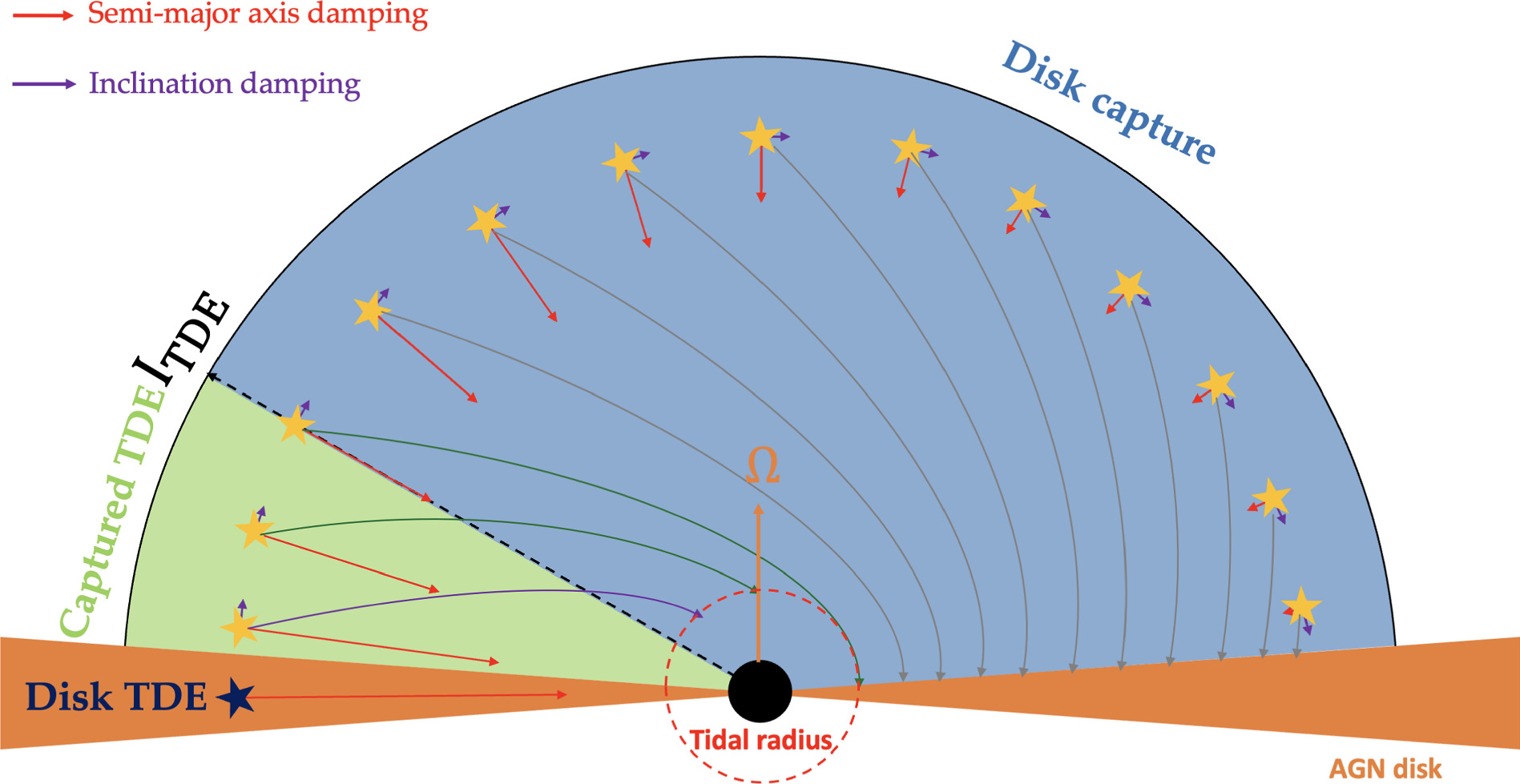 Changing-look Active Galactic Nuclei Behavior Induced by Disk-captured ...