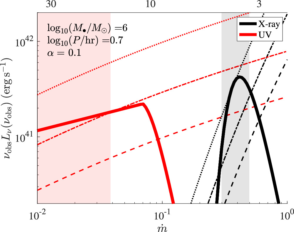 Ultraviolet Quasiperiodic Eruptions from Star–Disk Collisions in ...