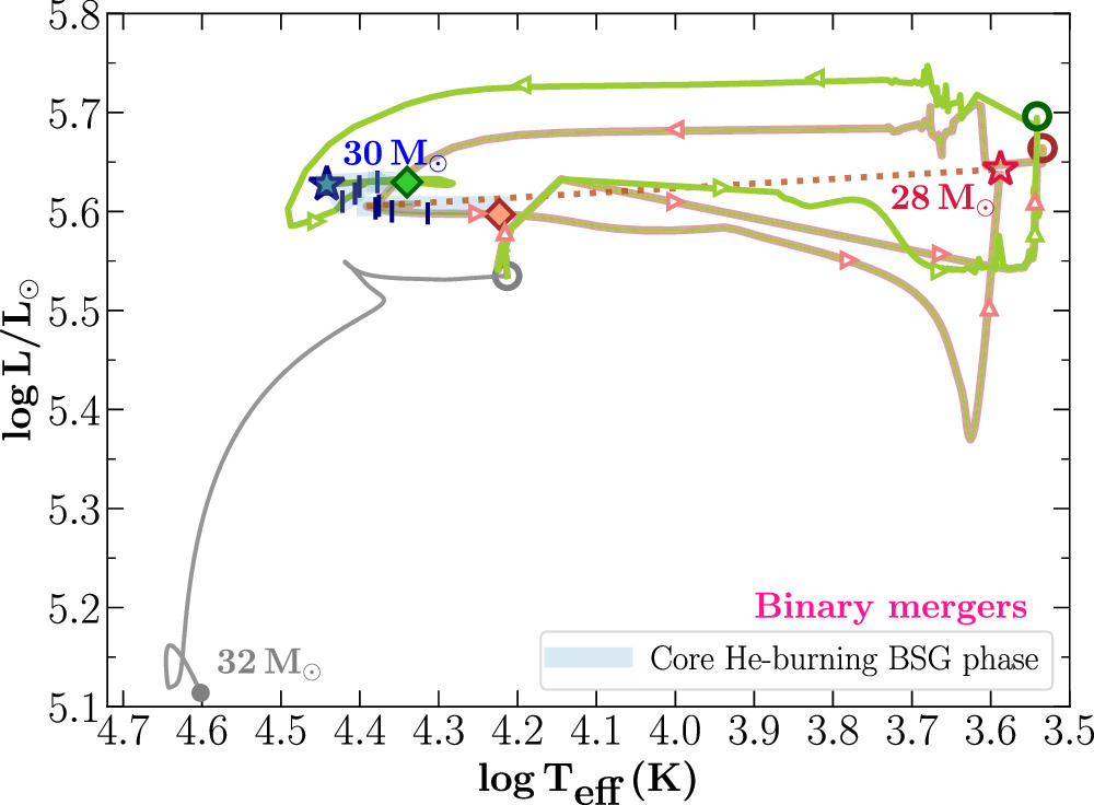 Evidence for Evolved Stellar Binary Mergers in Observed B-type Blue ...