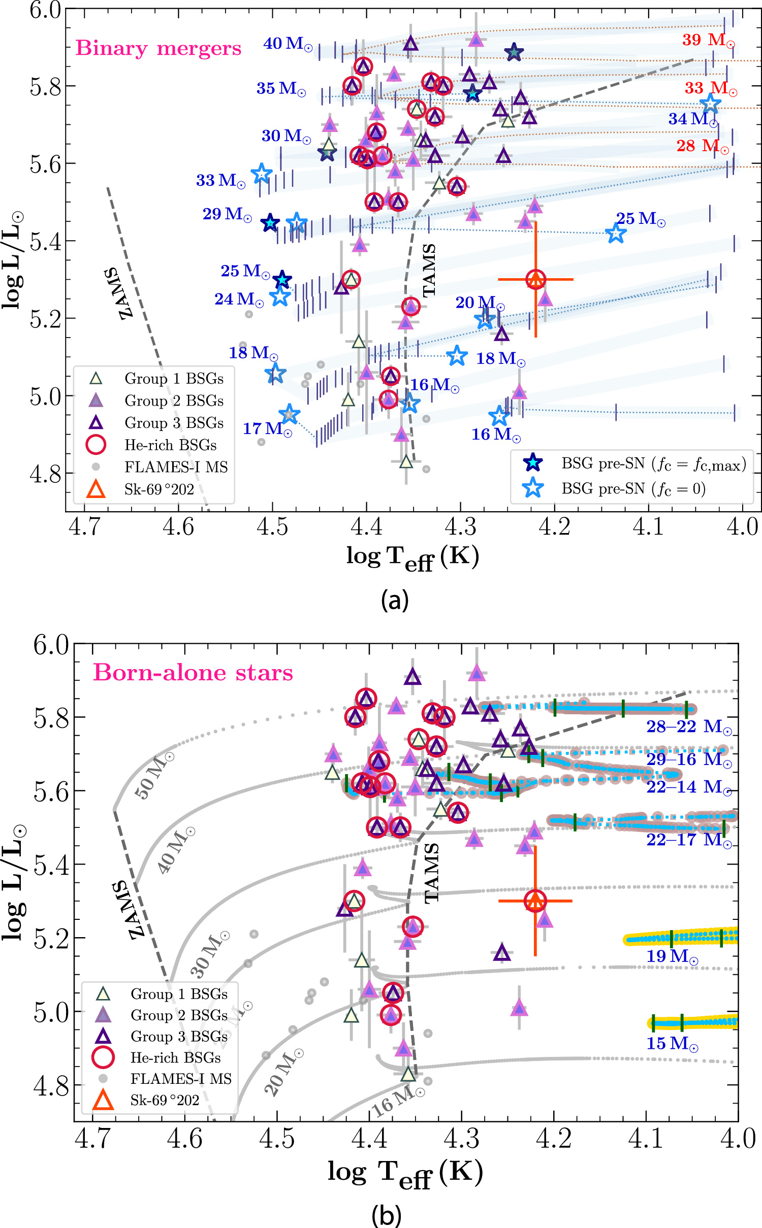 Evidence for Evolved Stellar Binary Mergers in Observed B-type Blue ...
