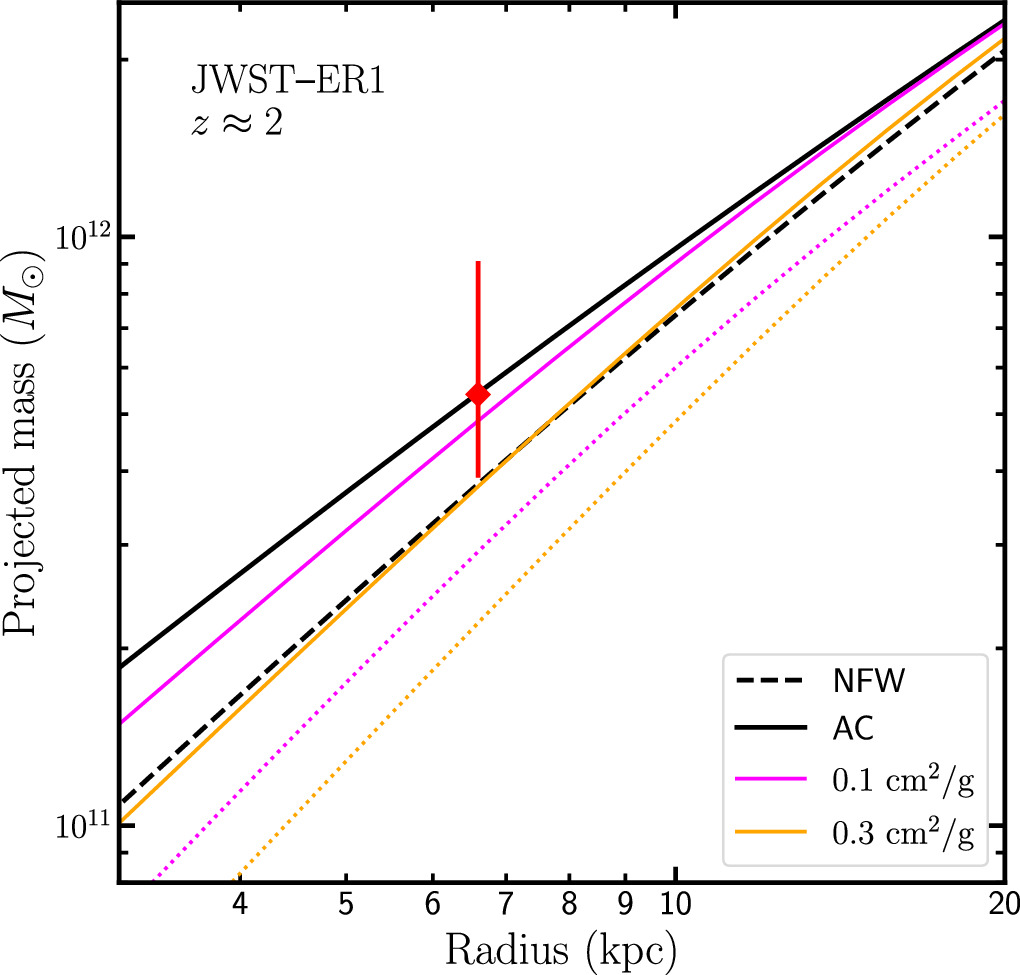 Cold Dark Matter and Self-interacting Dark Matter Interpretations of ...