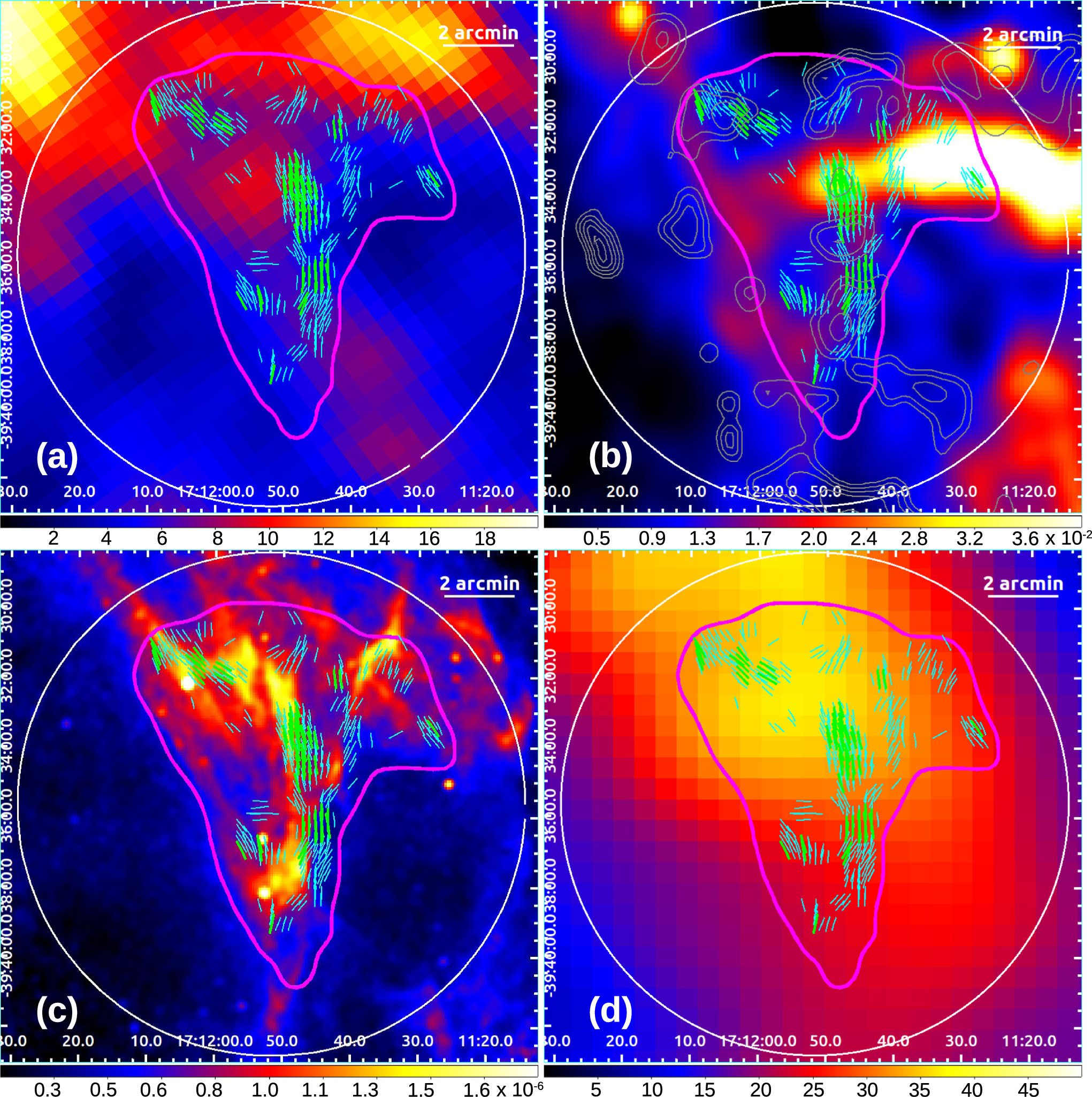 Discovery of a Shock-compressed Magnetic Field in the Northwestern Rim ...