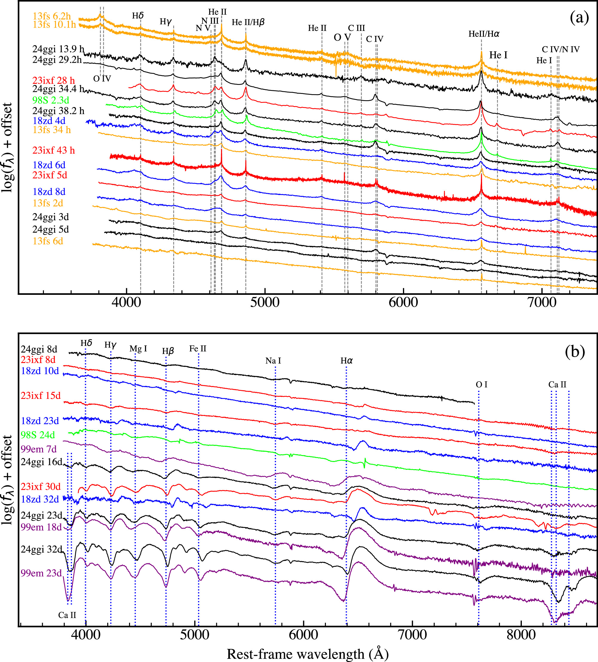 Probing the Shock Breakout Signal of SN 2024ggi from the Transformation ...