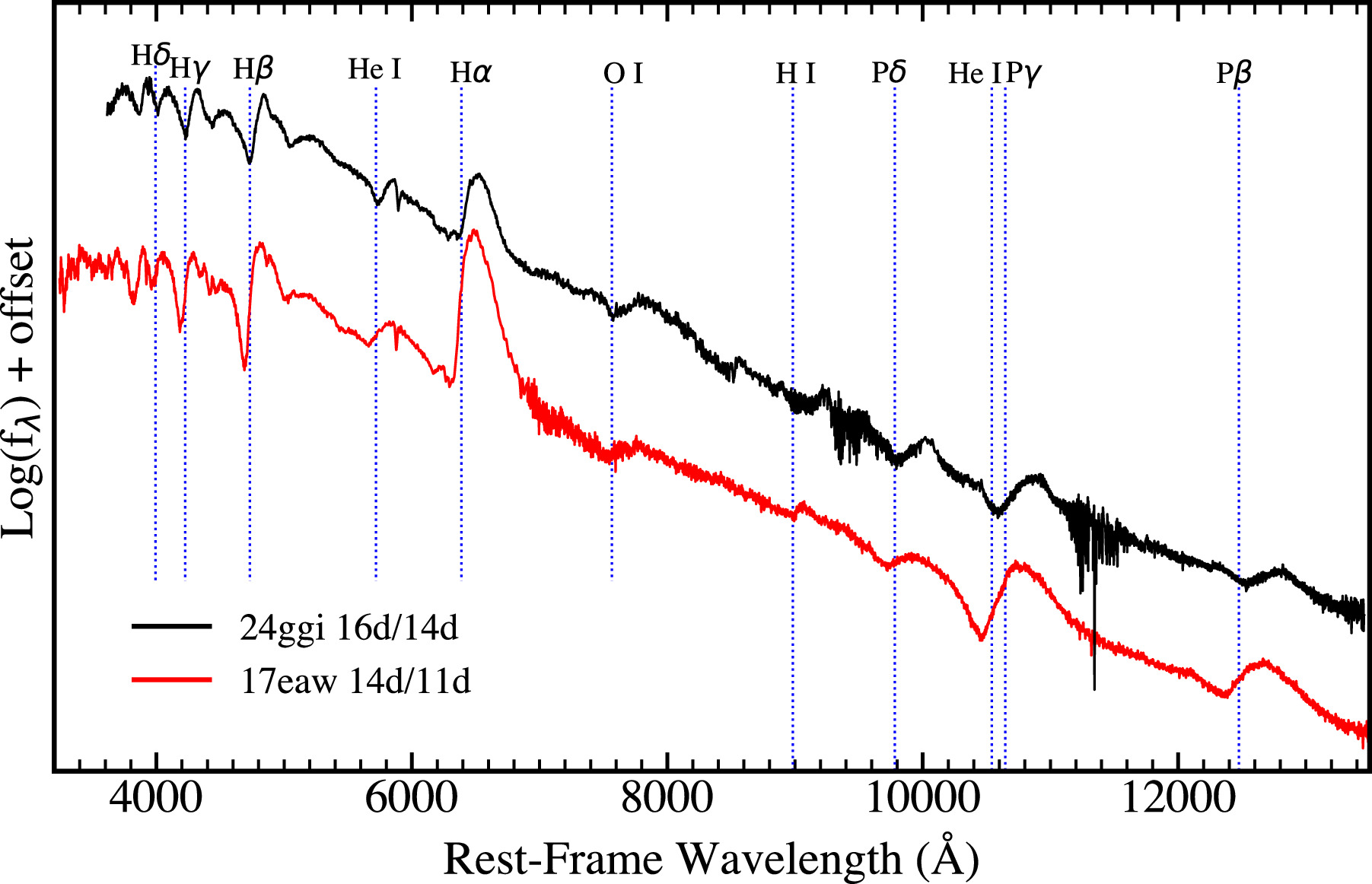 Probing the Shock Breakout Signal of SN 2024ggi from the Transformation ...