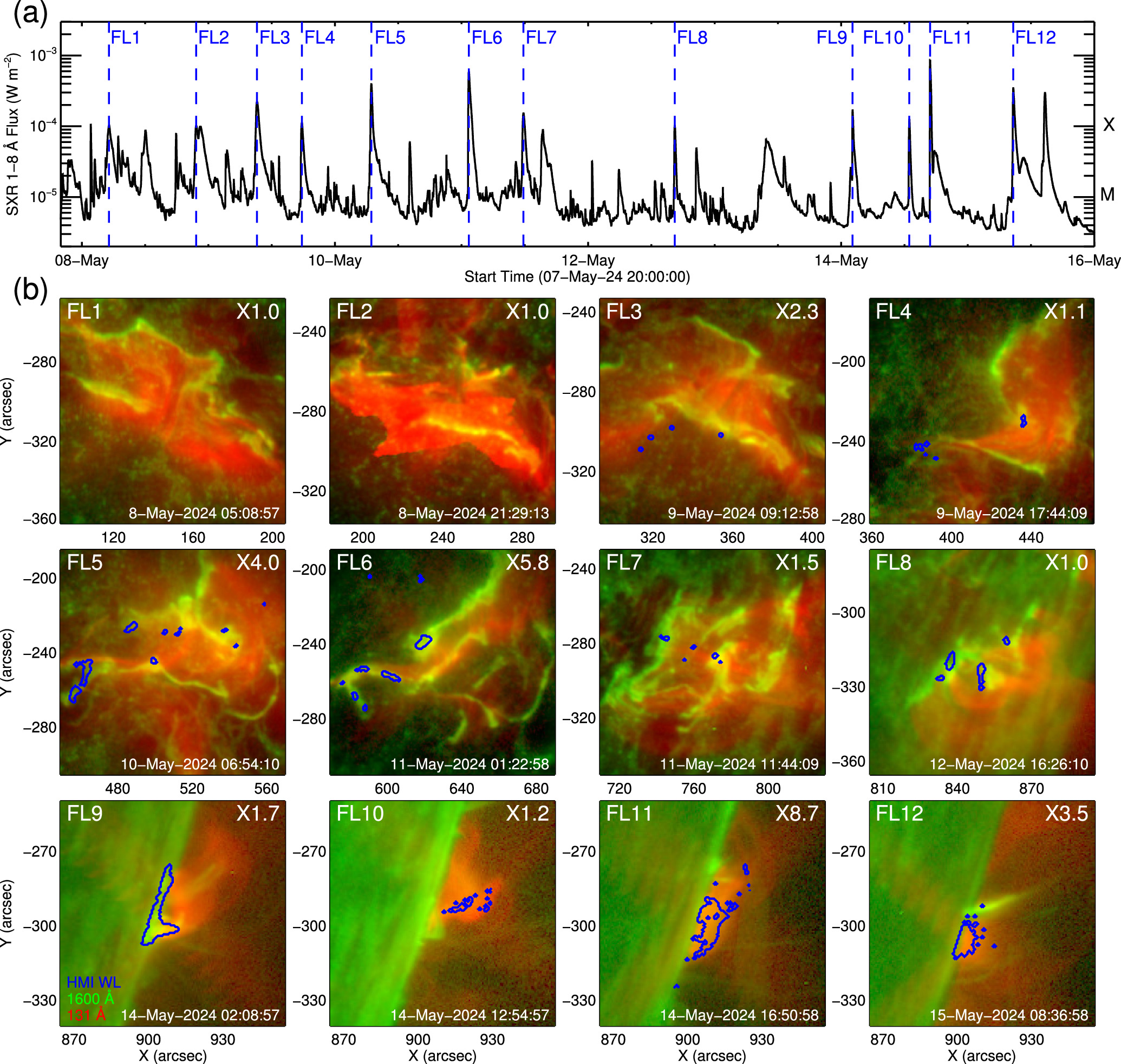 Various Features of the X-class White-light Flares in Super Active ...