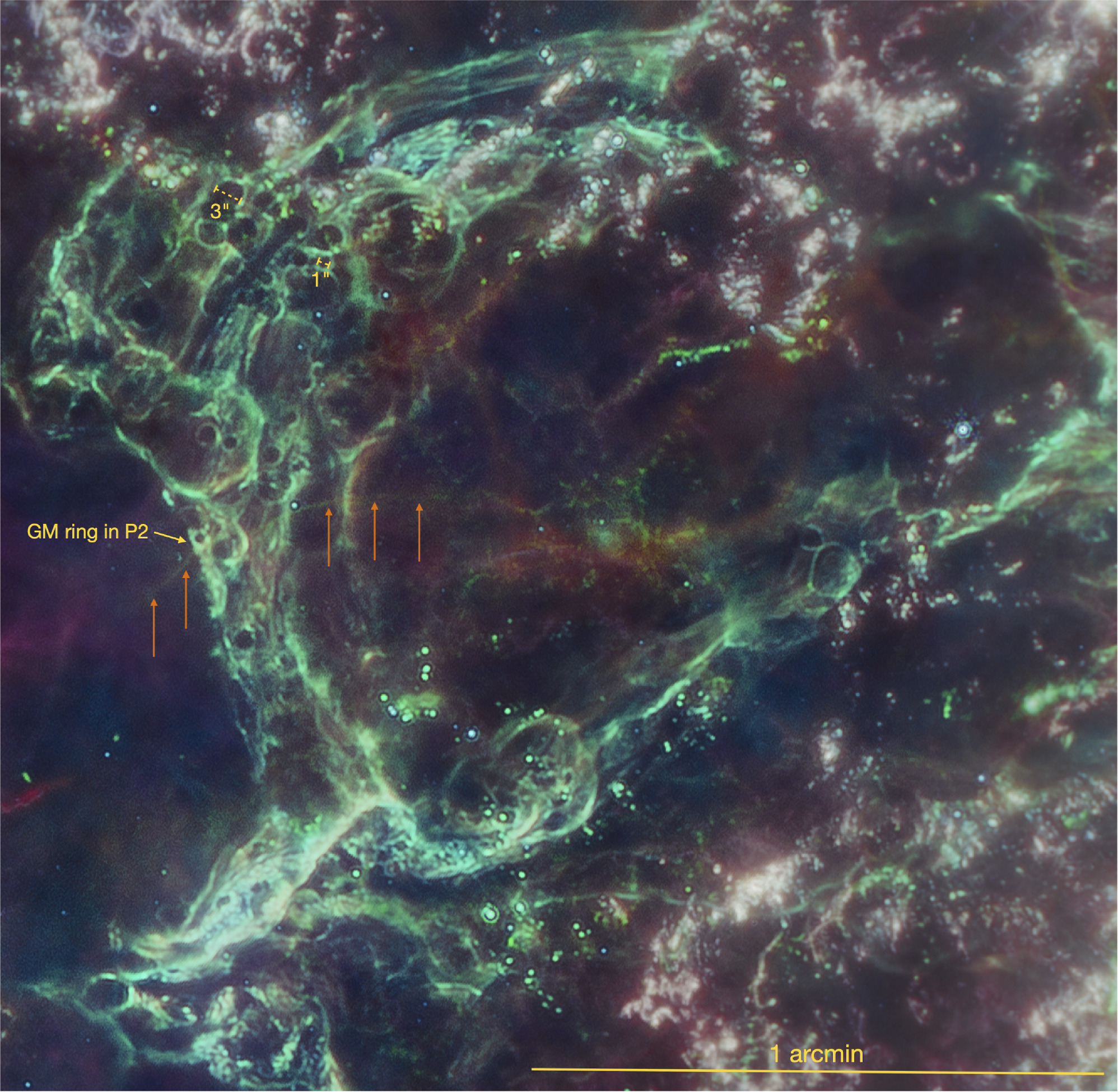 The Green Monster Hiding in Front of Cas A: JWST Reveals a Dense and ...