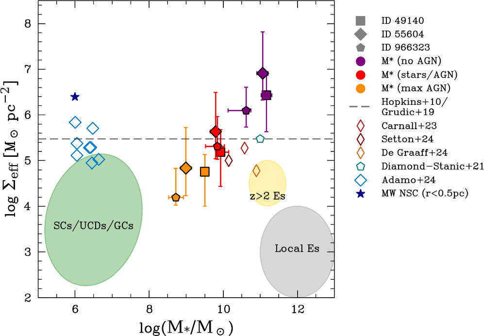 The Small Sizes and High Implied Densities of "Little Red Dots" with ...