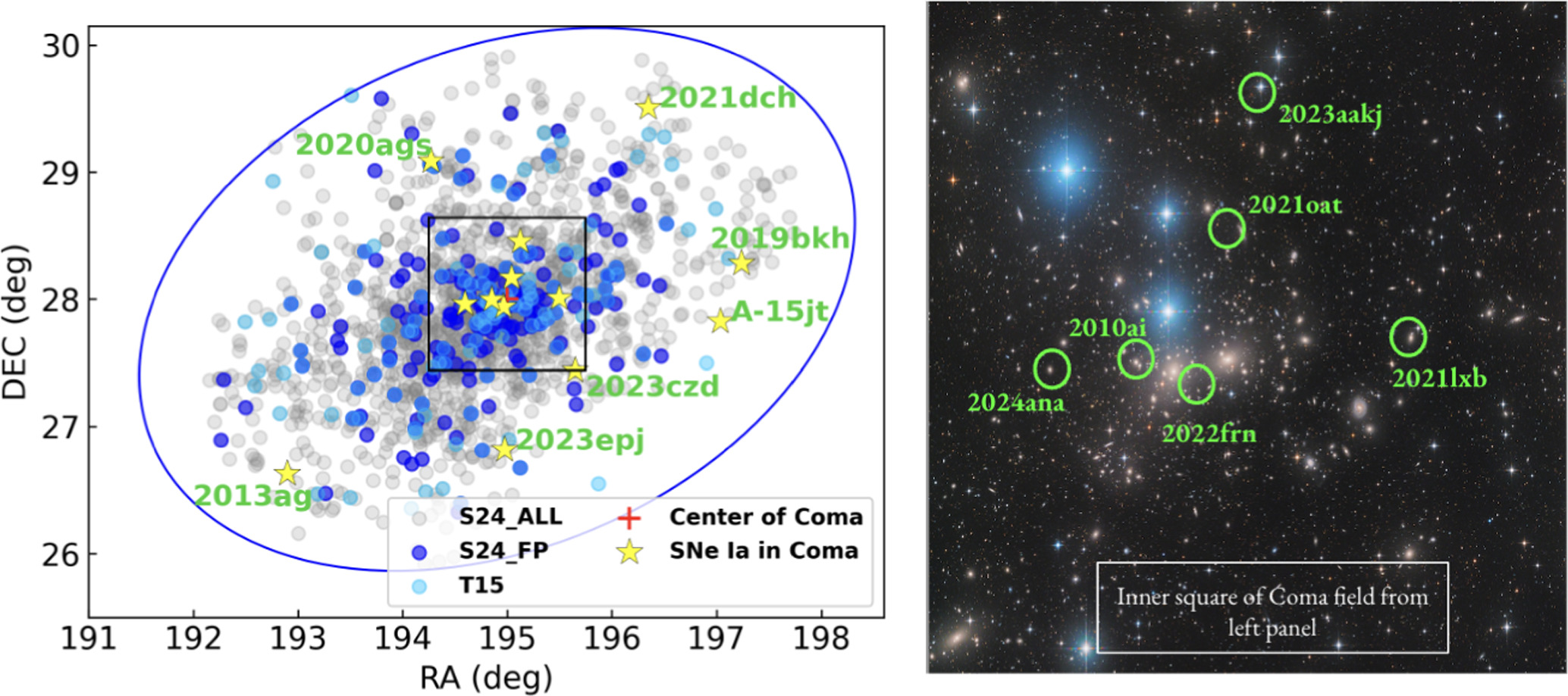 The Hubble Tension in Our Own Backyard: DESI and the Nearness of the ...