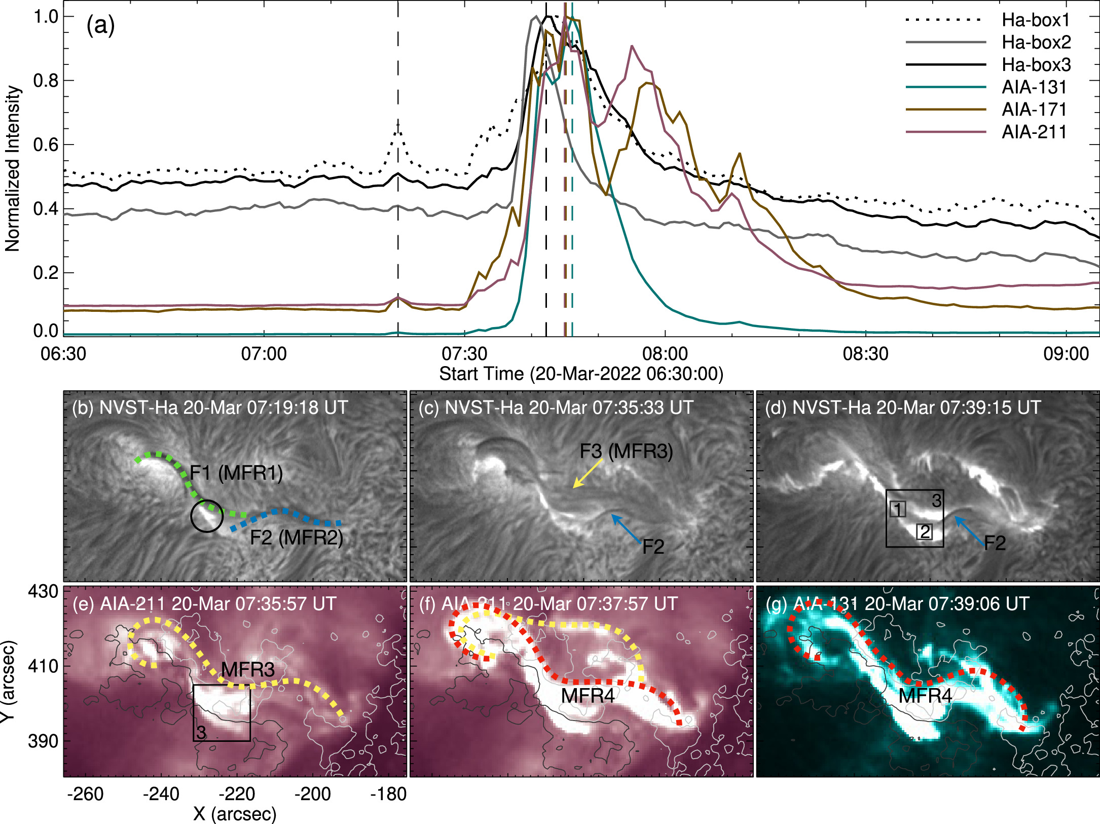 The Formation of a Multifilament System Driven by Photospheric ...