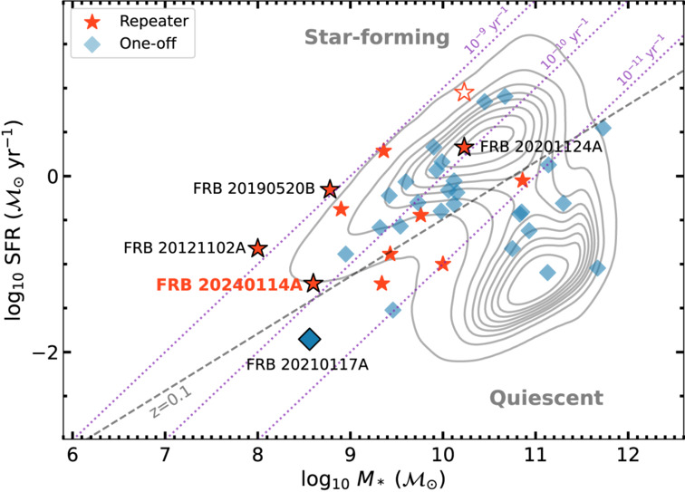 The Host Galaxy of the Hyperactive Repeating FRB 20240114A: Behind a ...