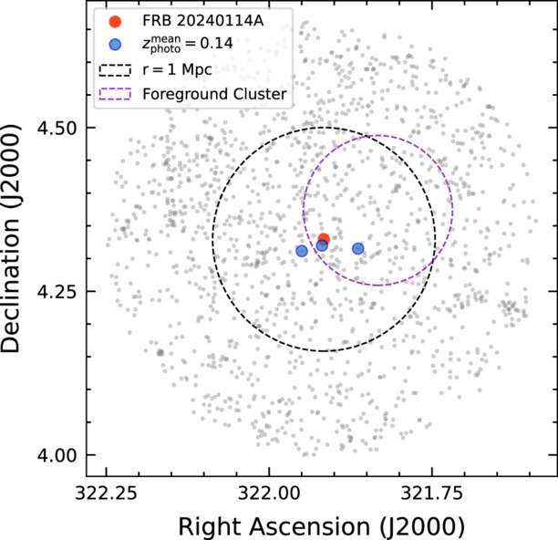 The Host Galaxy of the Hyperactive Repeating FRB 20240114A: Behind a ...