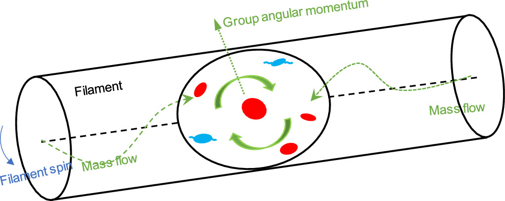 Orthogonal Alignment of Galaxy Group Angular Momentum with Cosmic ...