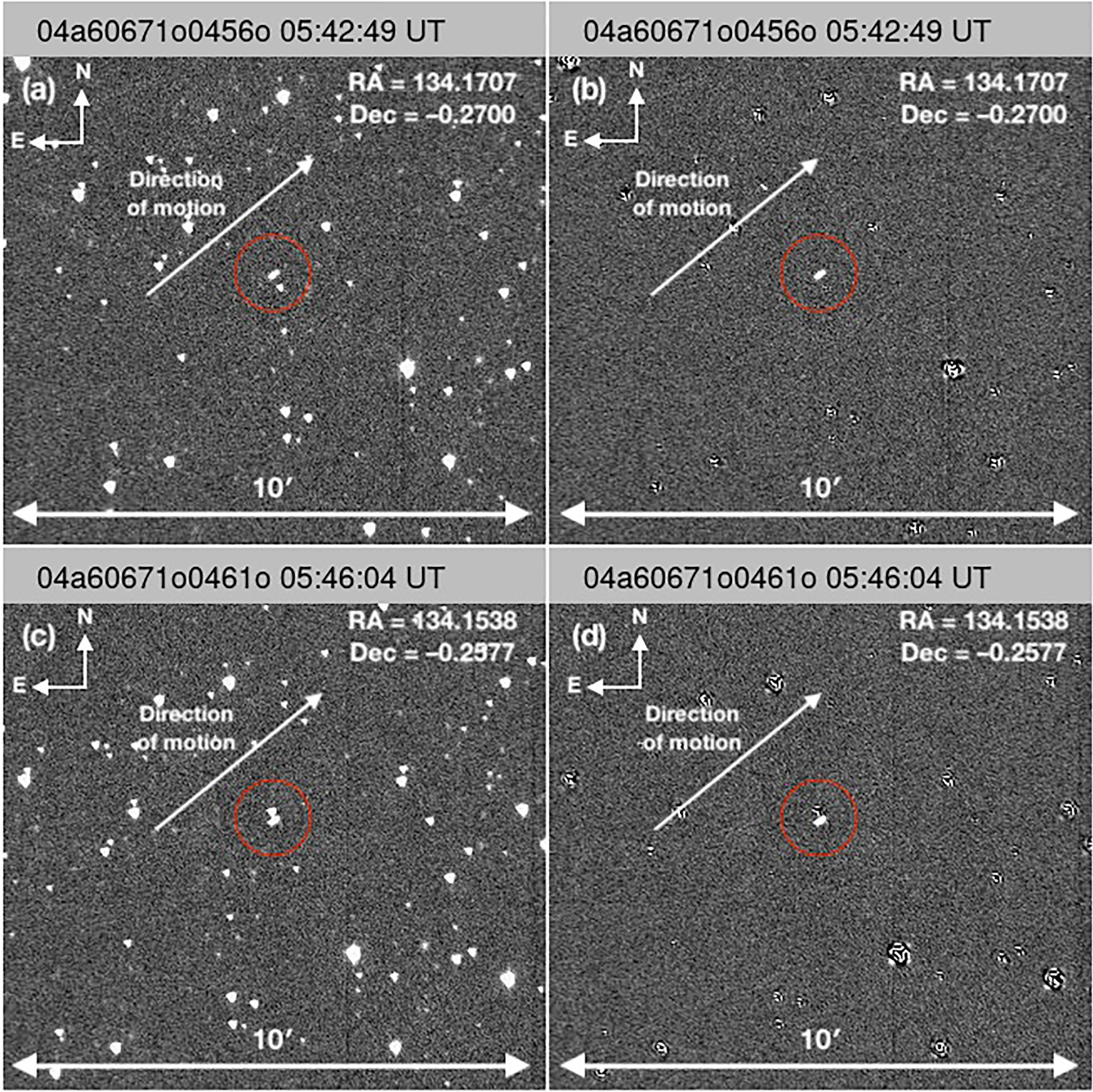 The Discovery and Characterization of Earth-crossing Asteroid 2024 YR4 ...